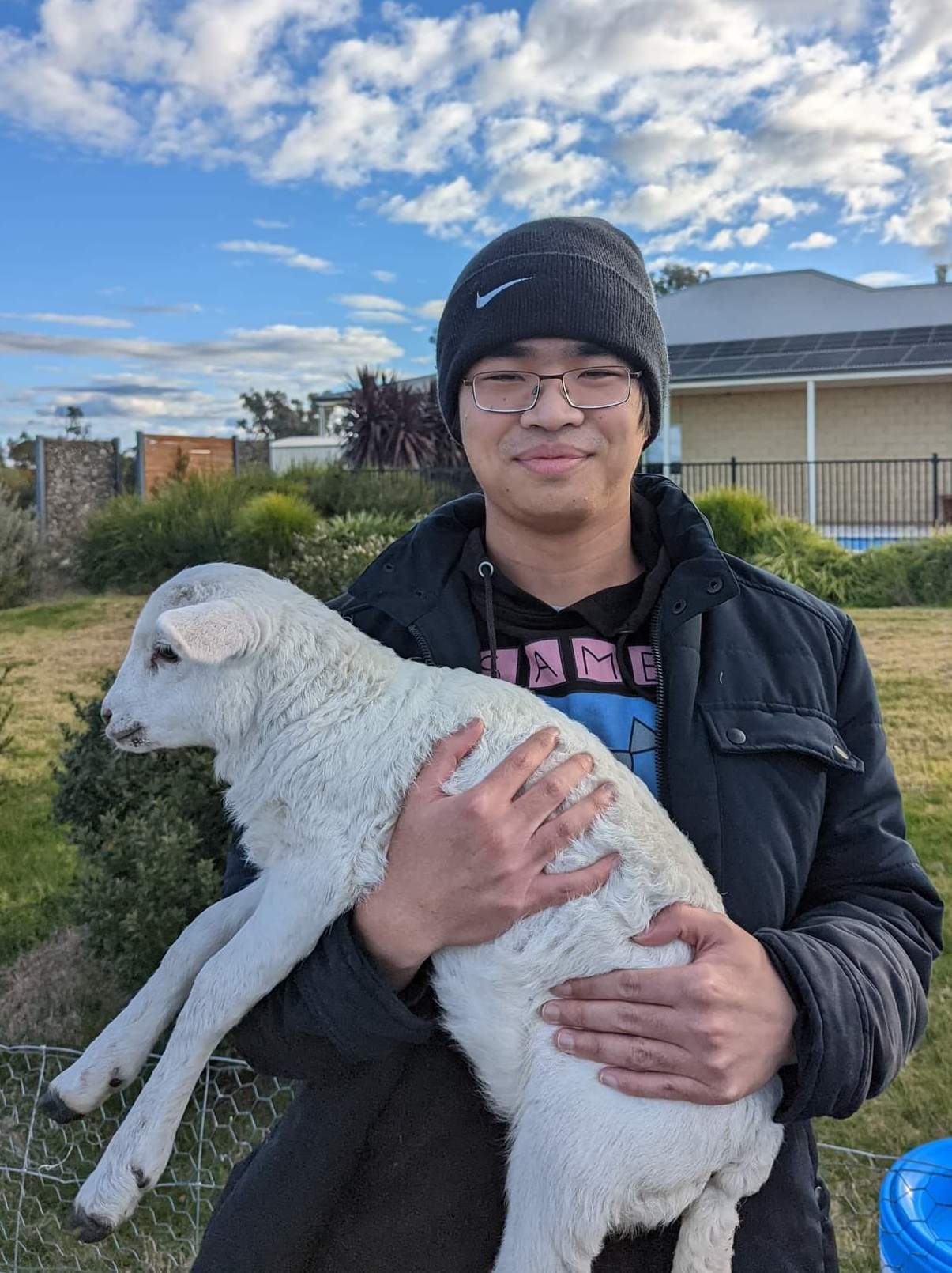 Matthew Hee - POPSICULE